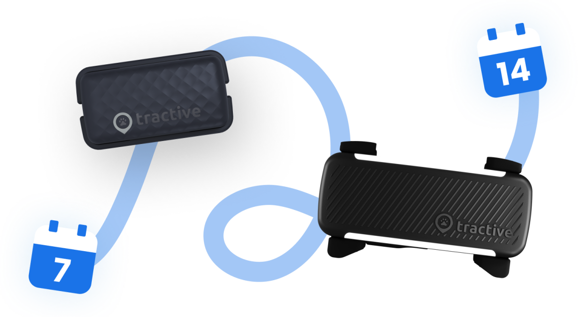 GPS Tracker mit langer Akkulaufzeit | Tractive | Tractive