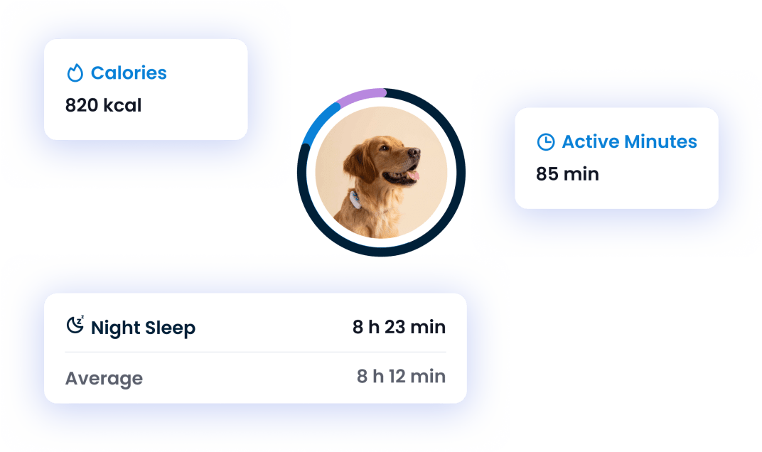 Tractive Health Monitoring for Dogs and Cats | Tractive