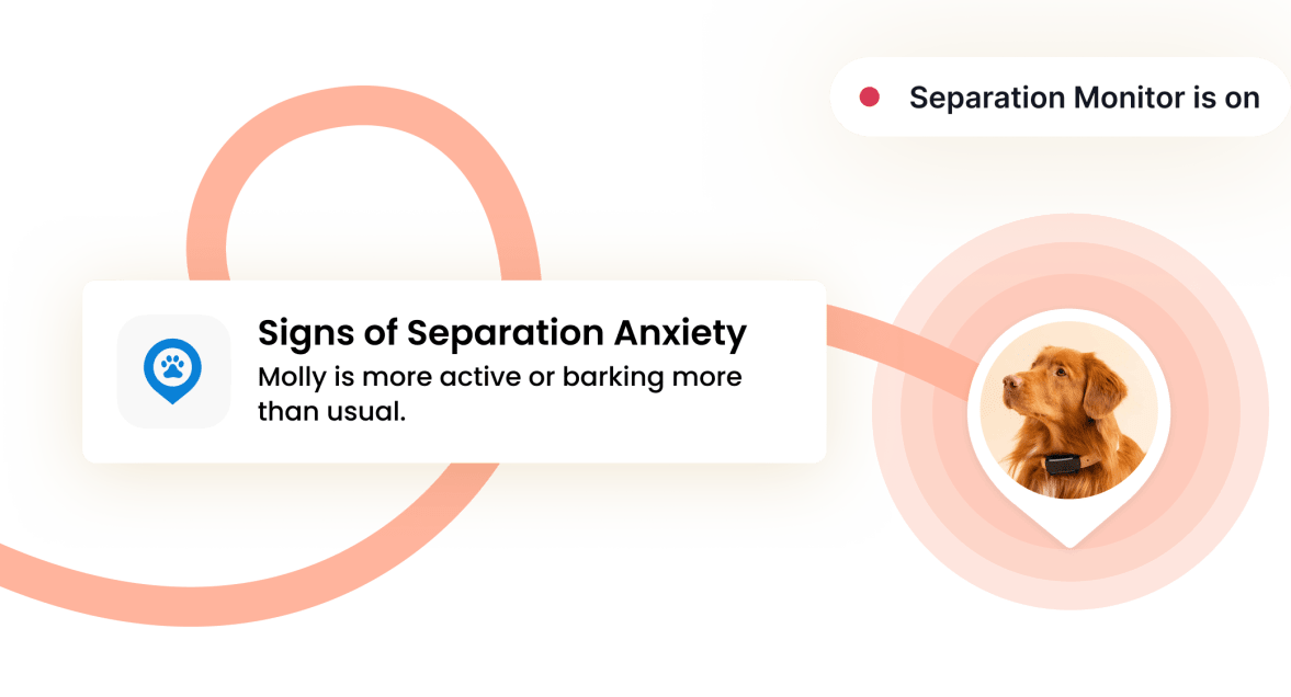 Tractive Health Monitoring for Dogs and Cats | Tractive