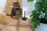 Tractive Base Station - Power Saving Network | Tractive
