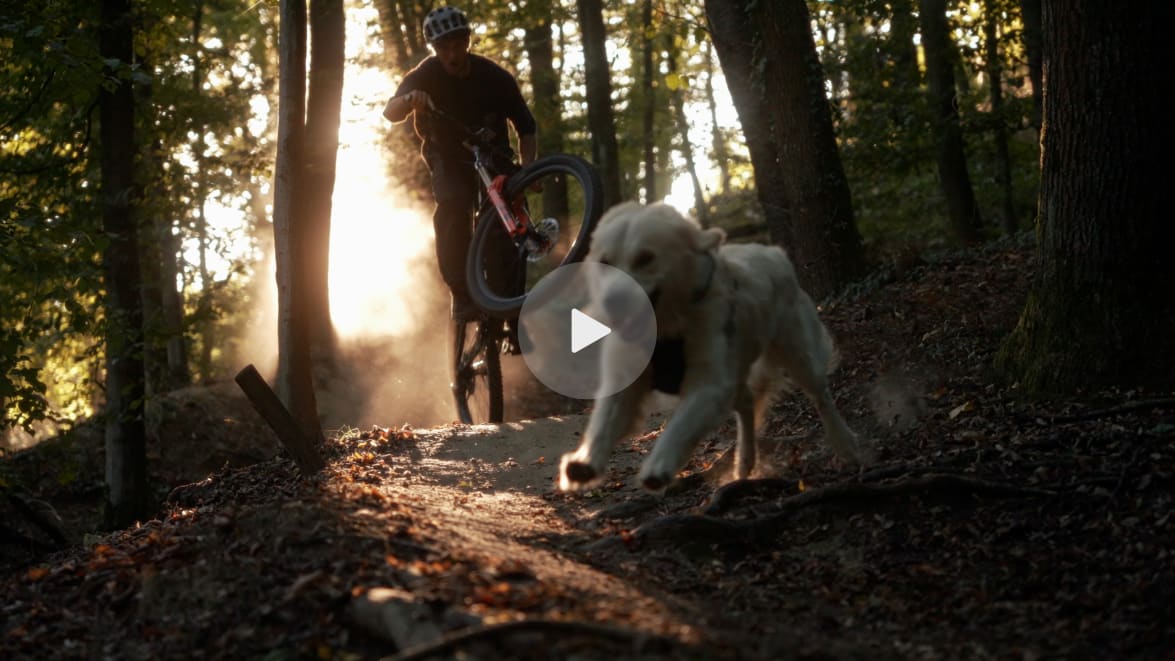 Tractive DOG XL Adventure Edition | Tractive