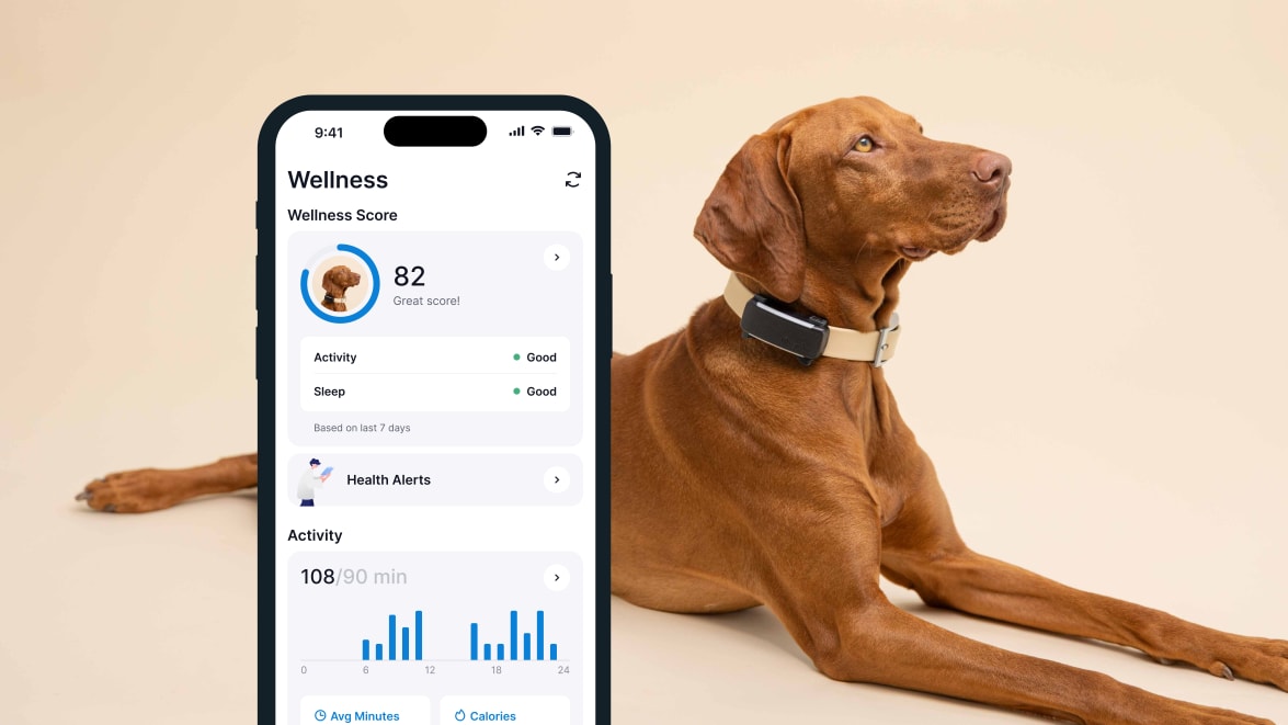 GPS Tracker for Dogs with Health Monitoring | Tractive
