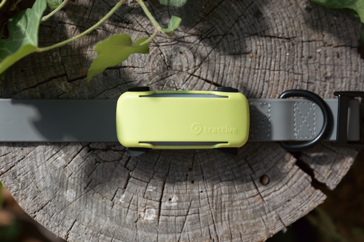 Tractive DOG 6 Hard Cover | Tractive