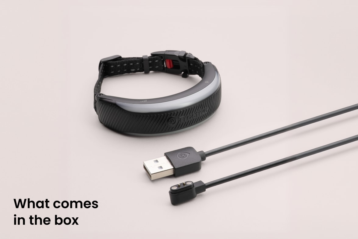 Cat Tracking Collar | Cat Tracker | Tractive
